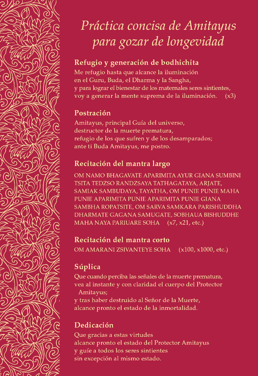 Práctica concisa de Amitayus para gozar de longevidad