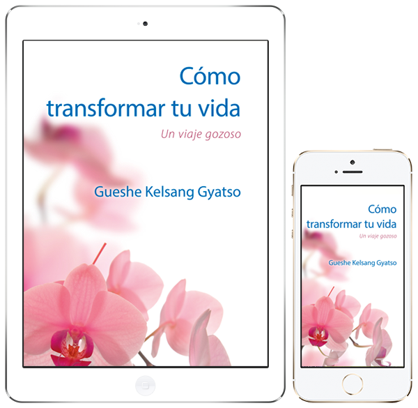 Cómo transformar tu vida | Libro de meditación budista para principiantes