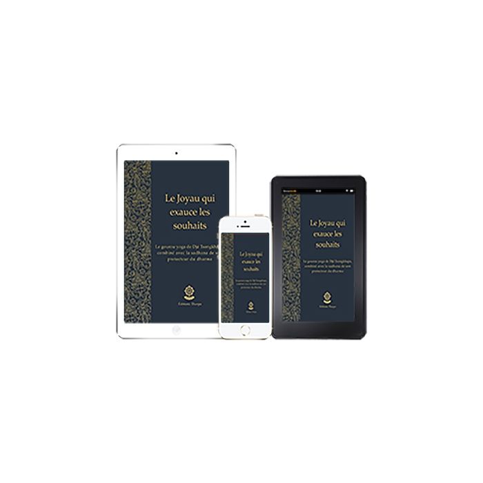 Le Joyau qui exauce les souhaits - livret mobi